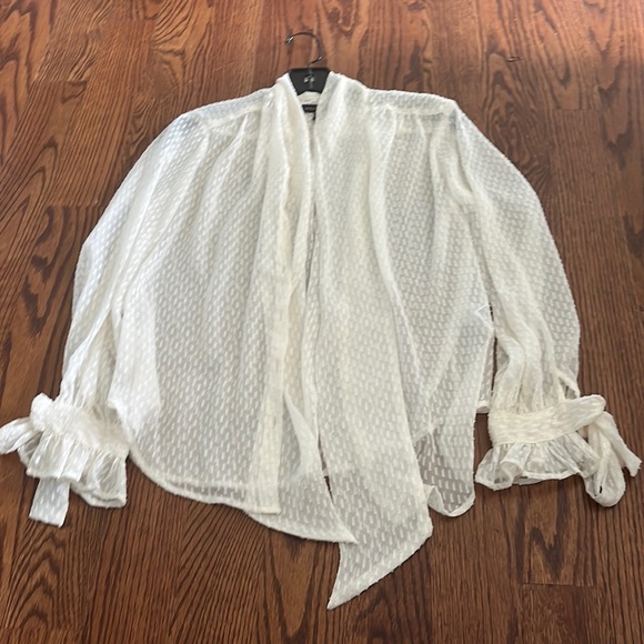 Banana Republic | Tops | Sheer Long Sleeve Beige Blouse With Stunning ...
